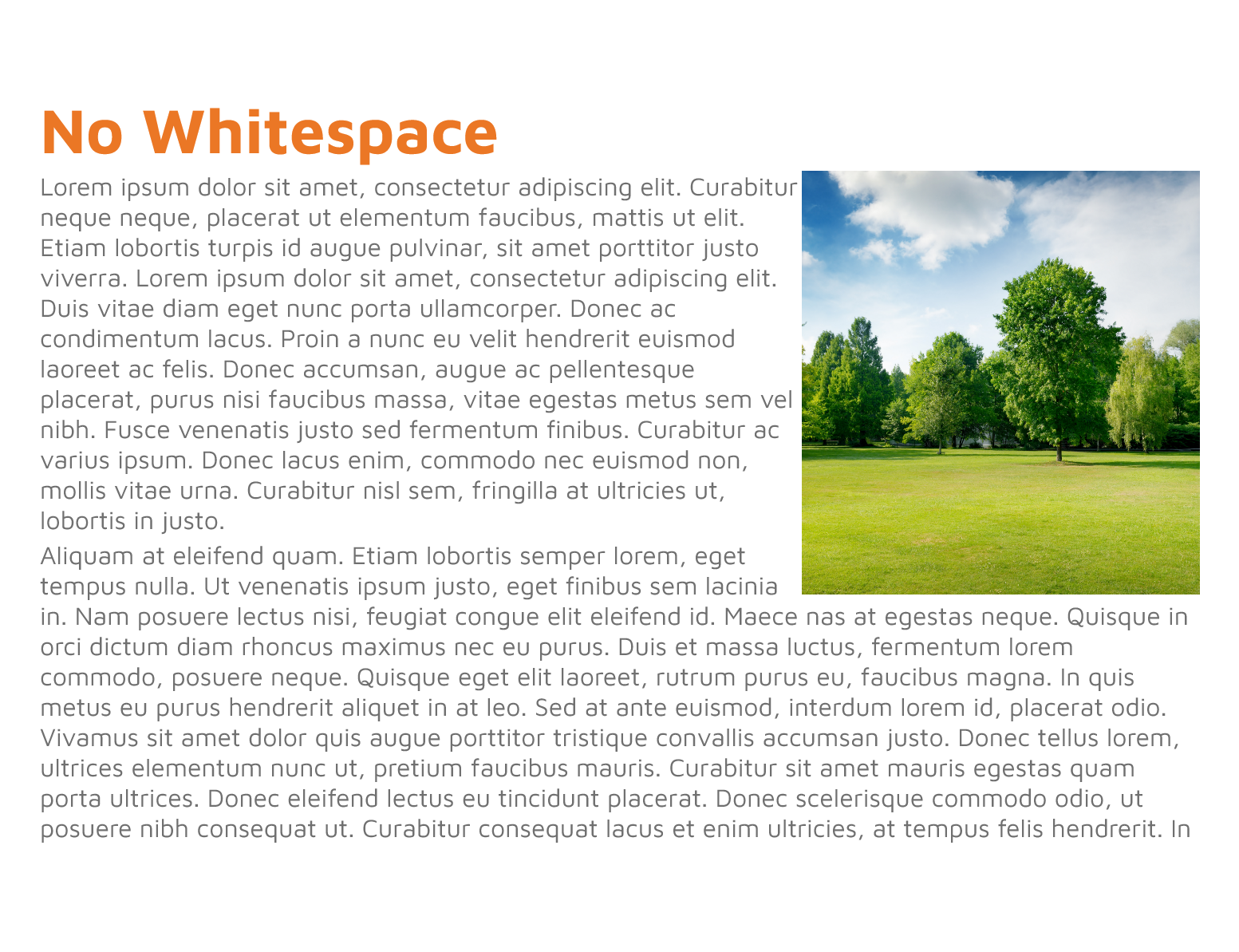 The Power of Whitespace in Design | Vivid Image