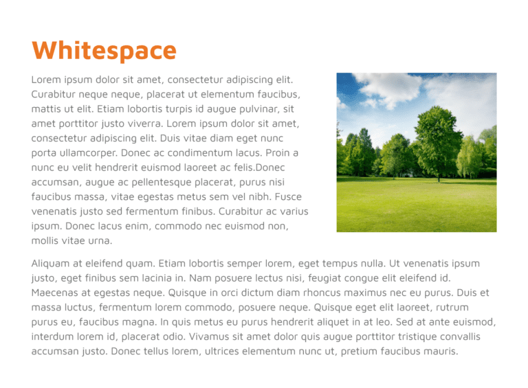 The Power of Whitespace in Design | Vivid Image